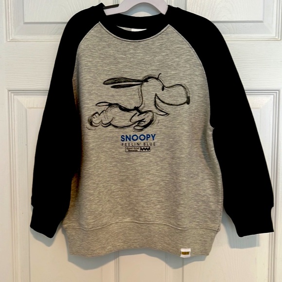 Zara | Shirts & Tops | Nwt Zara Snoopy Peanuts Raglan Sweatshirt | Poshmark